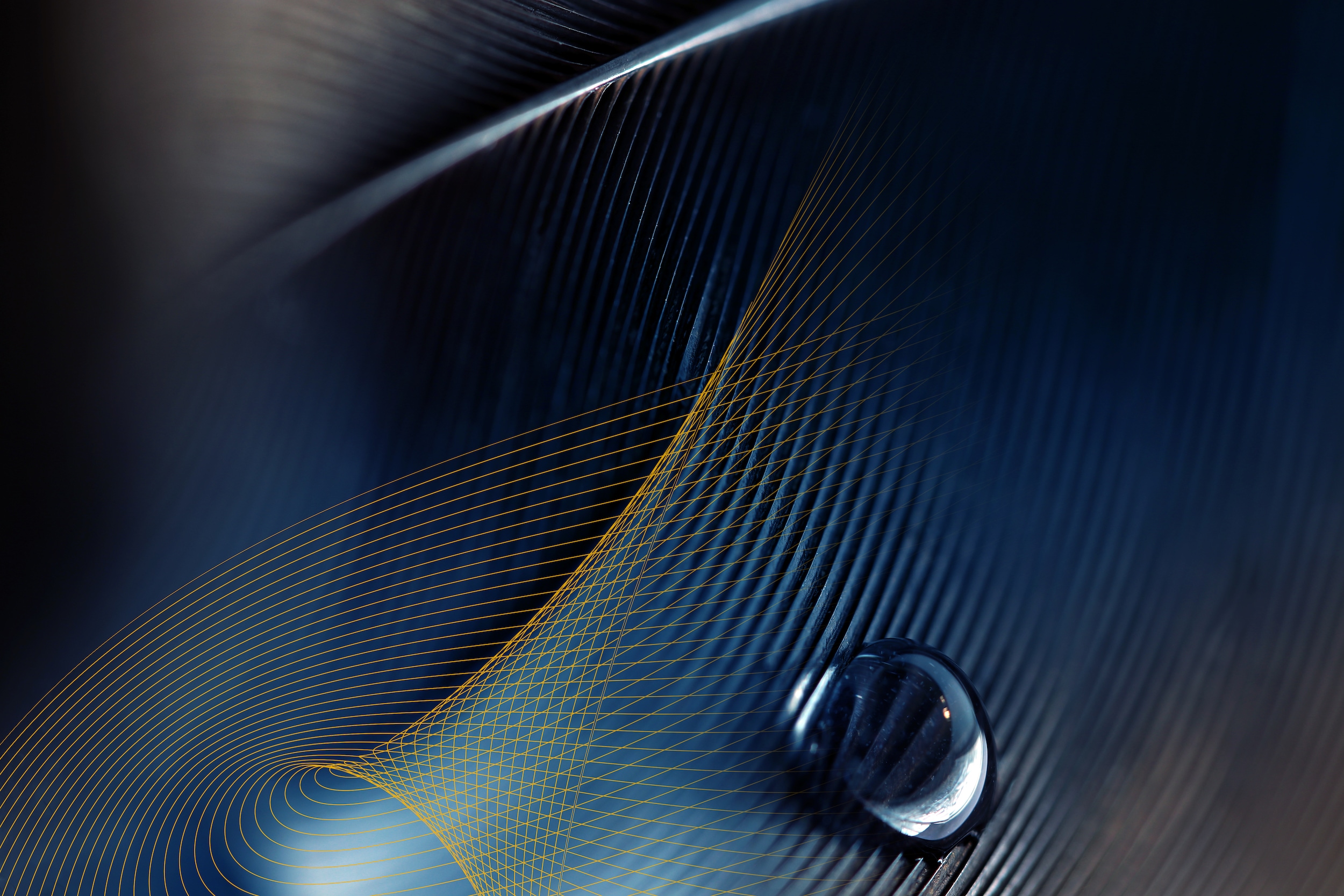 OEM SOLUTIONS | Dell USA